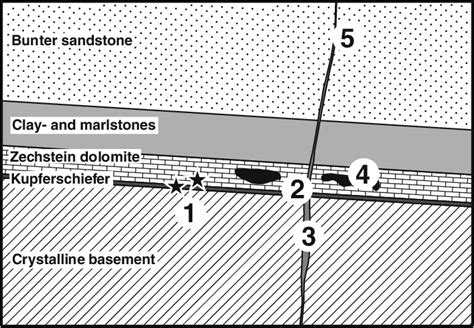 Schematic Cross Section Illustrating The Stratigraphic Relationships In Download Scientific