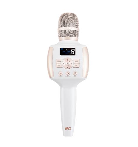 Handheld Karaoke Microphone Speaker