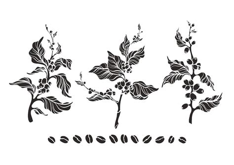 커피 나무 가지의 잎 모양 콩 프리미엄 벡터