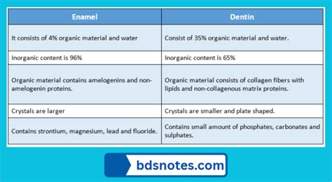 Dentinogenesis Bds Notes