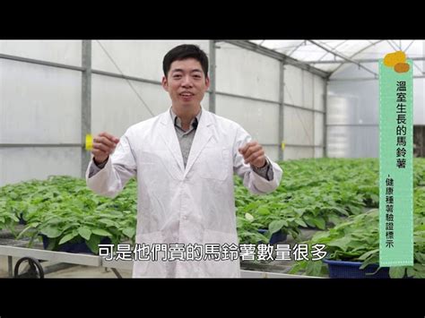 健康種苗 馬鈴薯篇 農業知識入口網