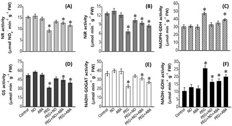 Activity Of Nitrate Reductase Nr Nitrite Reductase Nir Glutamine Download Scientific