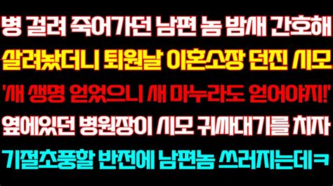 반전 신청사연 병걸린 남편 밤새 간호했더니 퇴원날 이혼소장 던진 시모 옆에 있던 병원장이 시모 뺨을 치자 기절초풍할 반전에 남편 쓰러지는데실화사연낭독드라마라디오
