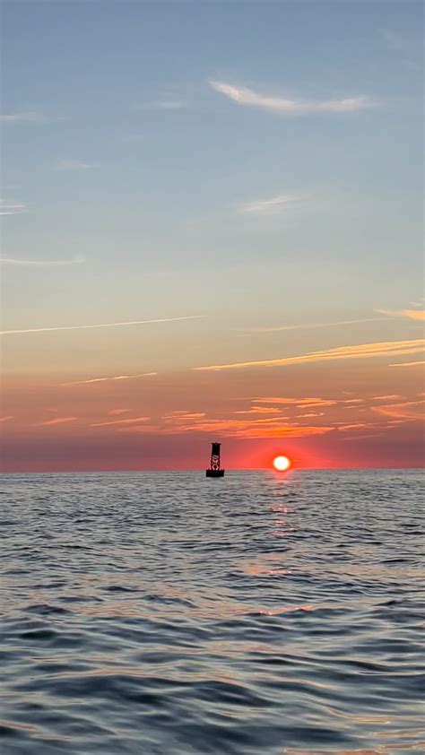 Allison Cameron Parry