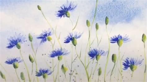 Як намалювати волошки аквареллю Веселий покроковий урок Ravlyk