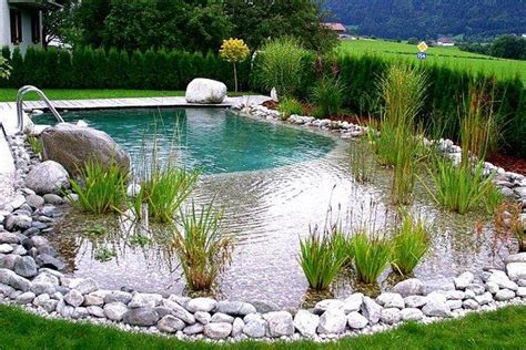 Natural Pools Design Ideas A Swimming Pond Without Chemicals