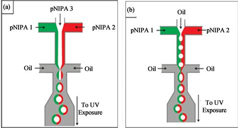 Structured Microgels Through Microfluidic Assembly And Their Biomedical Applications
