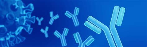 Immunoglobulins Bertin Bioreagent