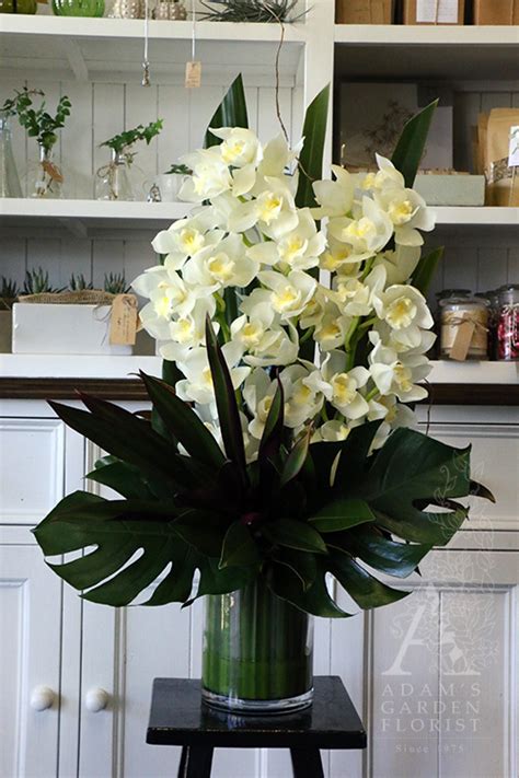 Cymbidium Orchid Arrangement Adams Garden Florist