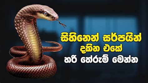 සර්පයින් සිහිනෙන් දැකීම සහ එම සිහින වල තේරුම් Youtube