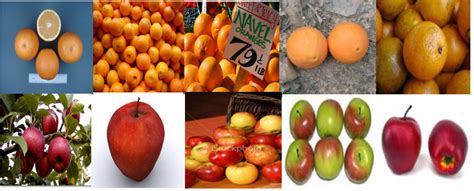 cyclegan unpaired image to image translation part 2 pyimagesearch