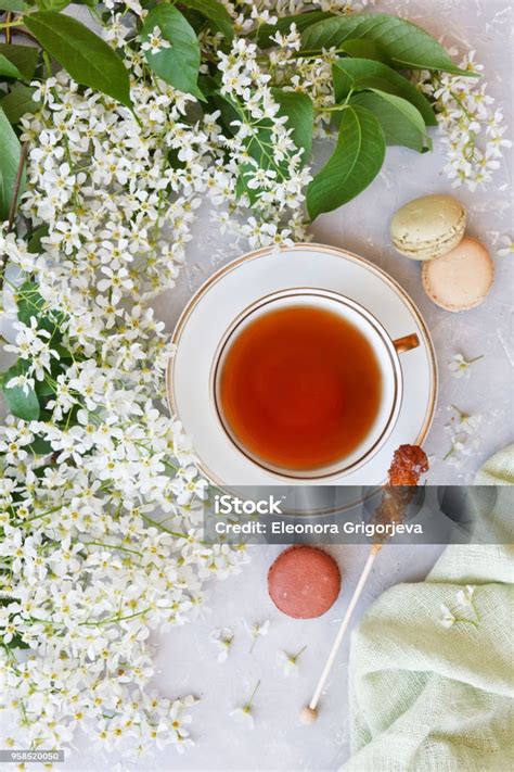달콤한 마카롱 회색 배경에 아름 다운 흰 꽃 사과 나무 가지에 의해 포위 된 차의 뜨거운 컵의 클로즈업 꽃 나무에 대한 스톡