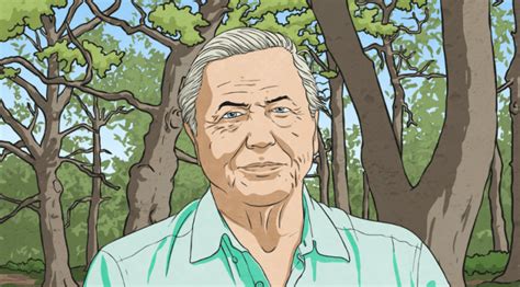 Who Is David Attenborough Facts Info And Resources Twinkl