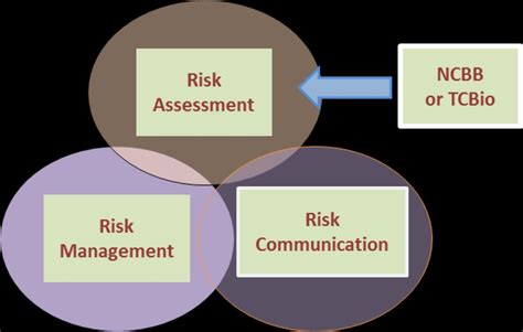 Detection Risk Definition Main Components Analysis And Example Livewell