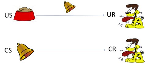 The Radical Education Classical Conditioning