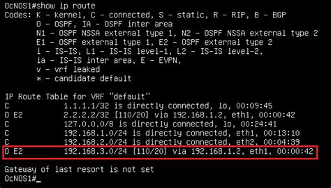 A Beginners Guide To Ocnos Ospf Routing Pine Networks