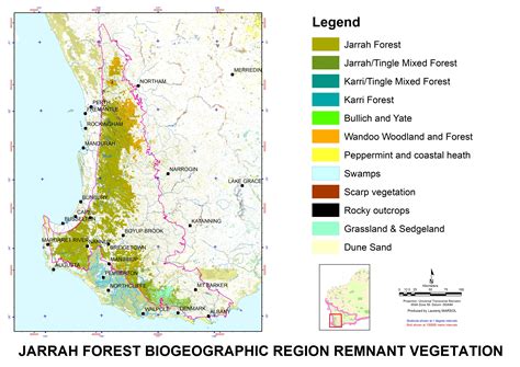 The Jarrah Forest Ecoregion With Forest Ecosystem Remnant Vegetation