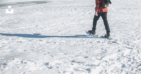 빨간 재킷과 검은 바지를 입은 사람이 푸른 나무 근처의 눈 덮인 땅에 서 있고 사진 Unsplash의 무료 자연 이미지