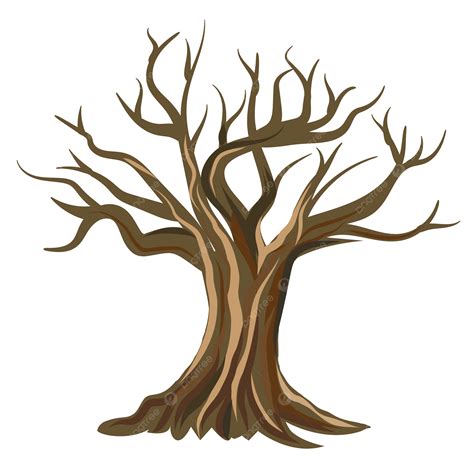 Tree Without Leaves Template 2 Thousand Tree Without Leaves Outline