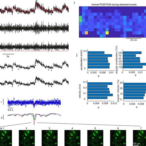 Microscope Optical Pathway And Parts List A Optical Design For