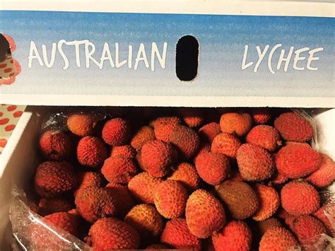 Valdora Lychees Season In Sunshine Coast