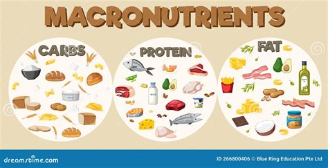 Macronutrients Diagram With Food Ingredients Vector Illustration 270012994