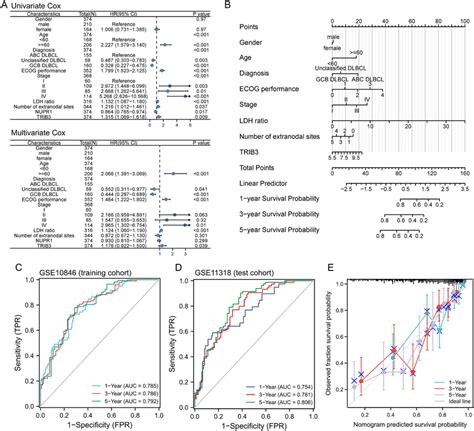 Construction And Validation Of Prognosis Model A Forest Plot Summary Download Scientific