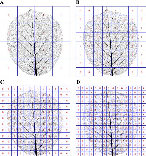 Figure From Can Leaf Shape Be Represented By The Ratio Of Leaf Width To Length Evidence From