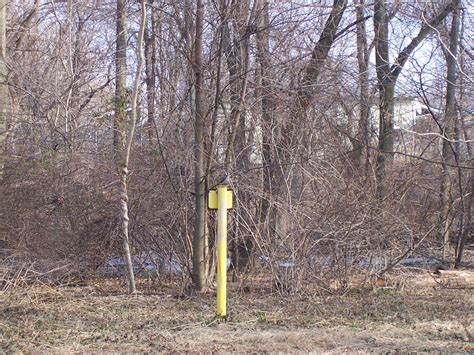 100_3747 – ooh, pretty