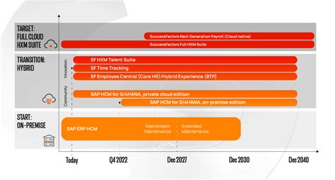 Sap Hcm For S4hana And Hxm And Transformation Hicron