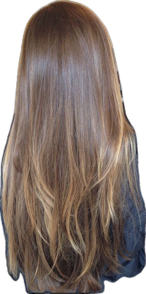 Balayage In 2025 Brown Hair Balayage Light Brunette Hair Brown Hair