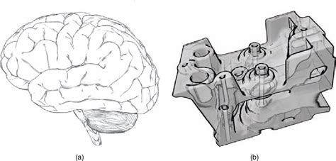 Figure 1 1 From Semantic Visualization Mapping For Volume Illustration Semantic Scholar