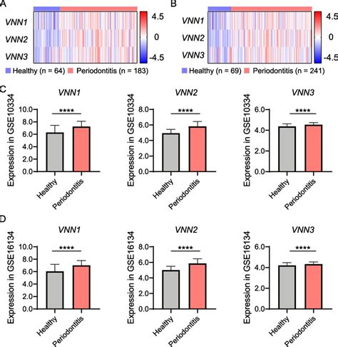 Validation Of Gene Expression Levels Of Vnns In Datasets A C Vnns In Download Scientific
