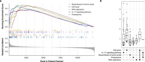 Clusterprofiler 4 0 A Universal Enrichment Tool For Interpreting Omics Data Pubmed