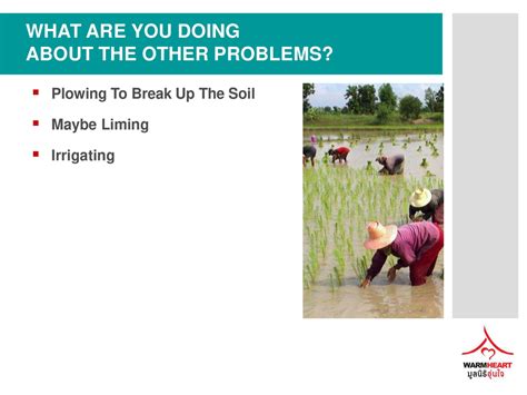 Pdf Making Biochar Fertilizer Warm Heart Worldwide