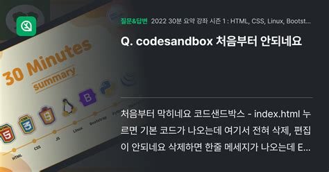 Codesandbox 처음부터 안되네요 인프런 커뮤니티 질문and답변
