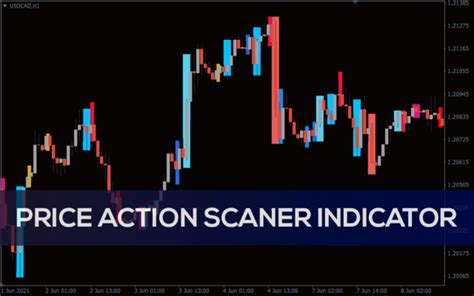 Stochastic Divergence Indicator For Mt4 Download Free Indicatorspot Stochastic Divergence Indicator For Mt4 Download Free Indicatorspot