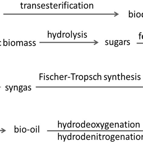 Schematic Of Porous Biochar Containing Various Functional Groups Download Scientific Diagram