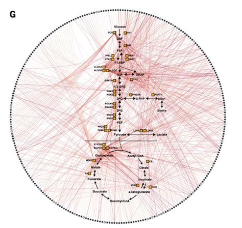 Sirius Users Research Article Published In Science Magazine Reveals How Subtle Molecular