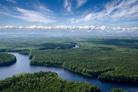 Qué Son Los Biomas Tipos Y Ejemplos 友软网络