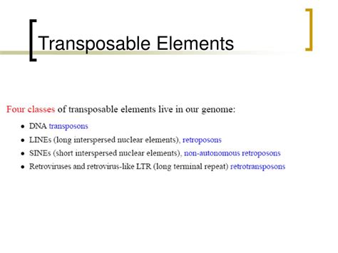 PPT Transposable Elements PowerPoint Presentation Free Download ID