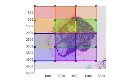 Selectblocklocations Select Blocks From Blocked Images Matlab