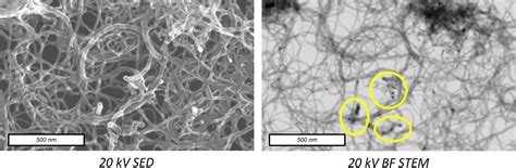 Scanning Transmission Electron Microscopy Nanoscience Instruments
