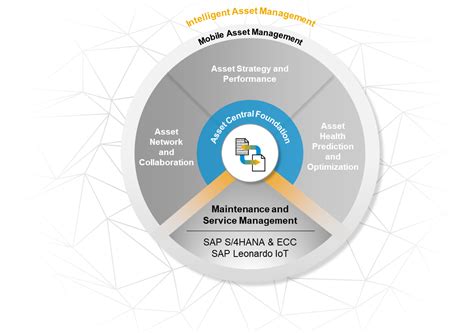 SAP Intelligent Asset Management IAM On Device Solutions
