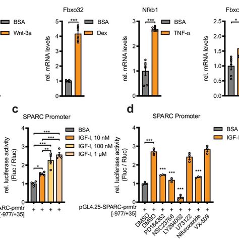 Growth Hormone Replacement Therapy Increases Sparc Expression In Download Scientific Diagram