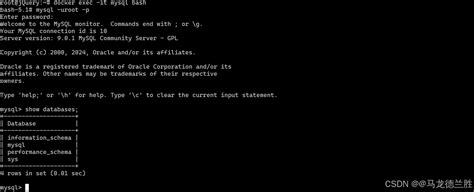 Docker Desktop Wsl部署mysql使用navicat 16 For Mysql远程连接 Csdn博客