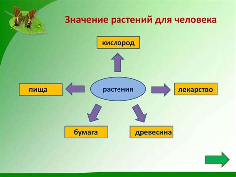 Охраняемые растения презентация онлайн