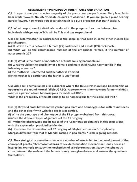 Assignment Principle Of Inheritance And Variation Pdf Genotype