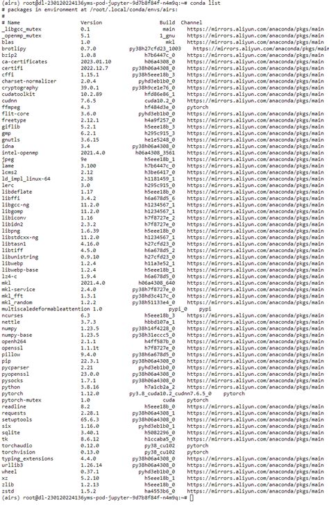 The Dcn V Module Cannot Be Installed Issue OpenGVLab InternImage GitHub