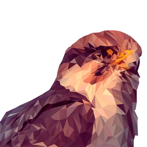 200 Free Hawk Clipart Images